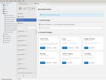 Atomic Writing » Linux Magazine