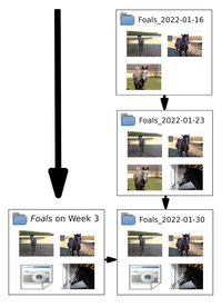 Integrity Check » Linux Magazine