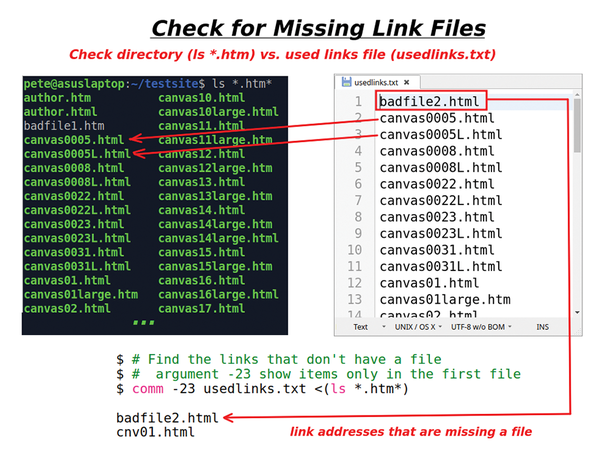 Bash Your Website » Linux Magazine