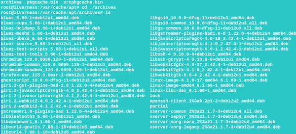 Cleaning Apt Cache » Linux Magazine